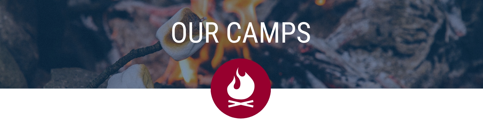 Northeast Illinois Council