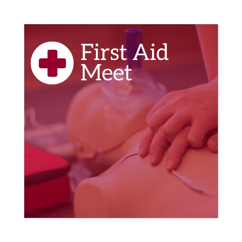 Northeast Illinois Council