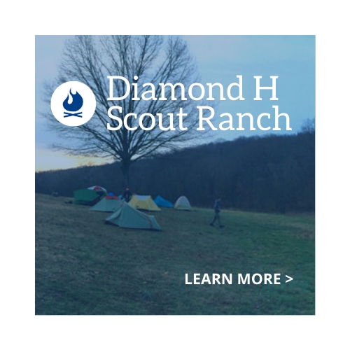 Last Frontier Council